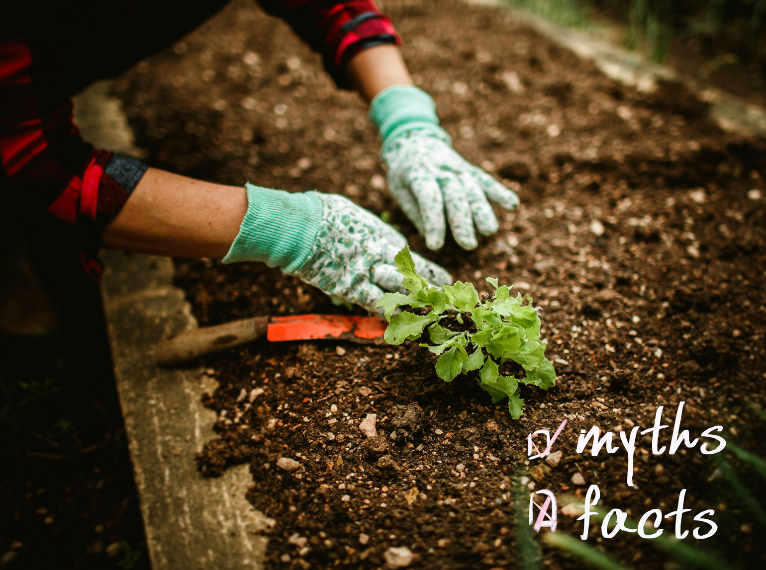Top 7 Gardening Myths Debunked – Ecofynd