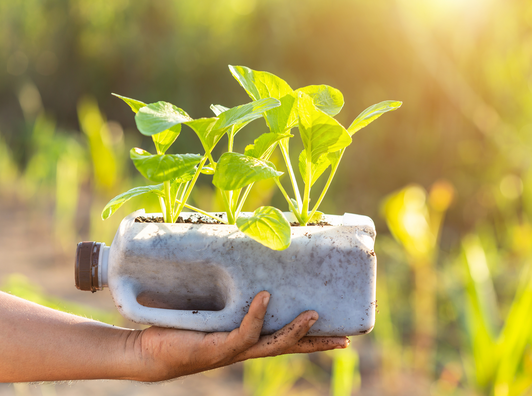 6 Ways to Use Plastic Bottle Waste in Garden – Ecofynd