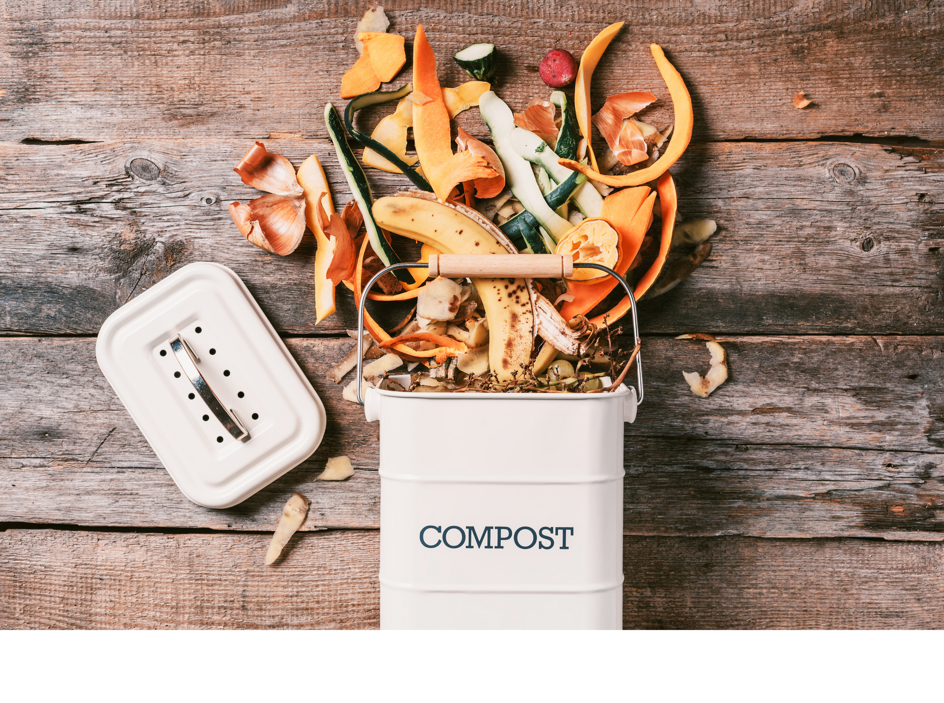 Composting 101: How to Turn Kitchen Waste into Gold – Ecofynd