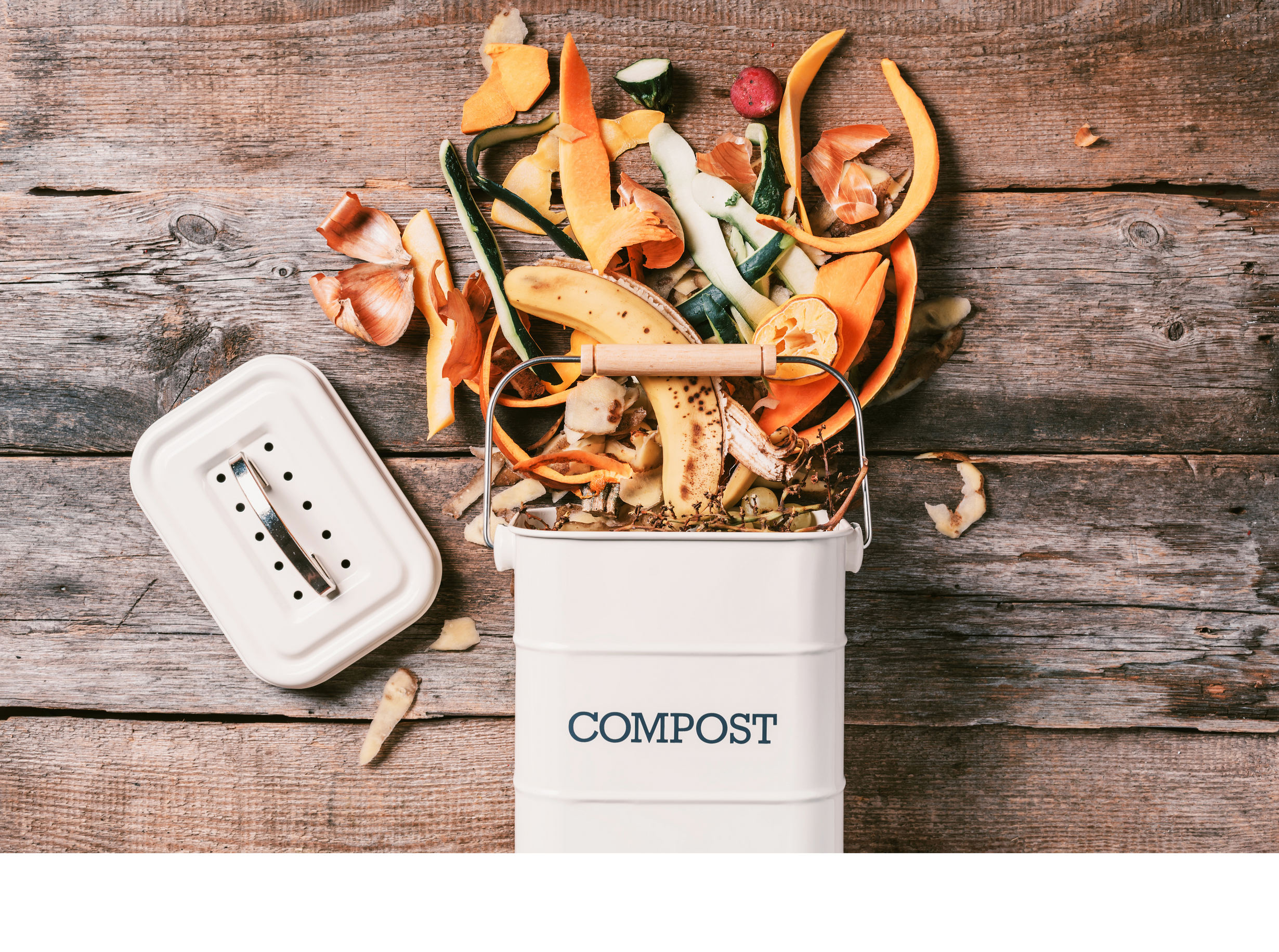 Composting 101: How to Turn Kitchen Waste into Gold – Ecofynd