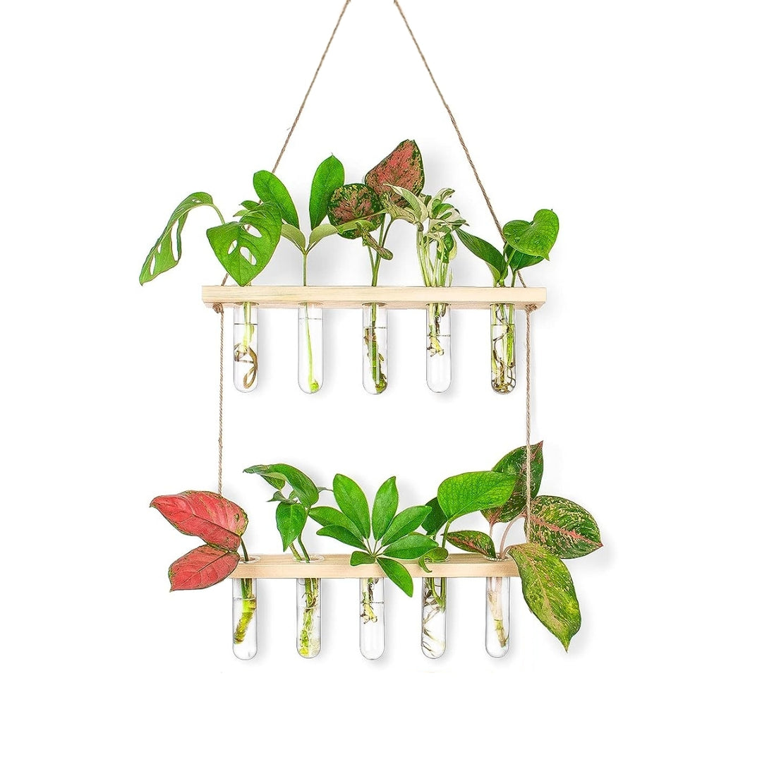2-Tier Wall Hanging Test Tube Planter – Ecofynd