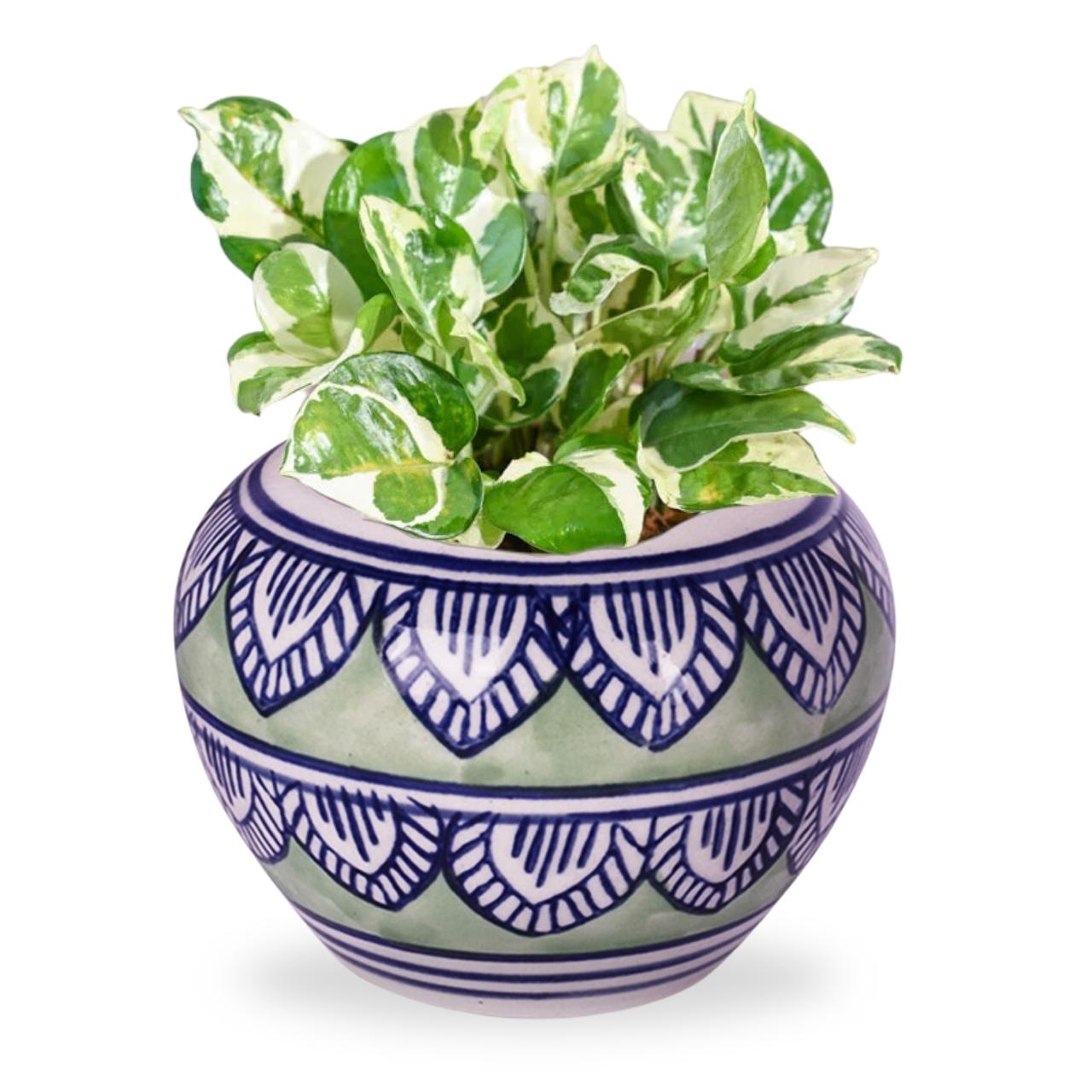Ceramic Plant Pot – Ecofynd