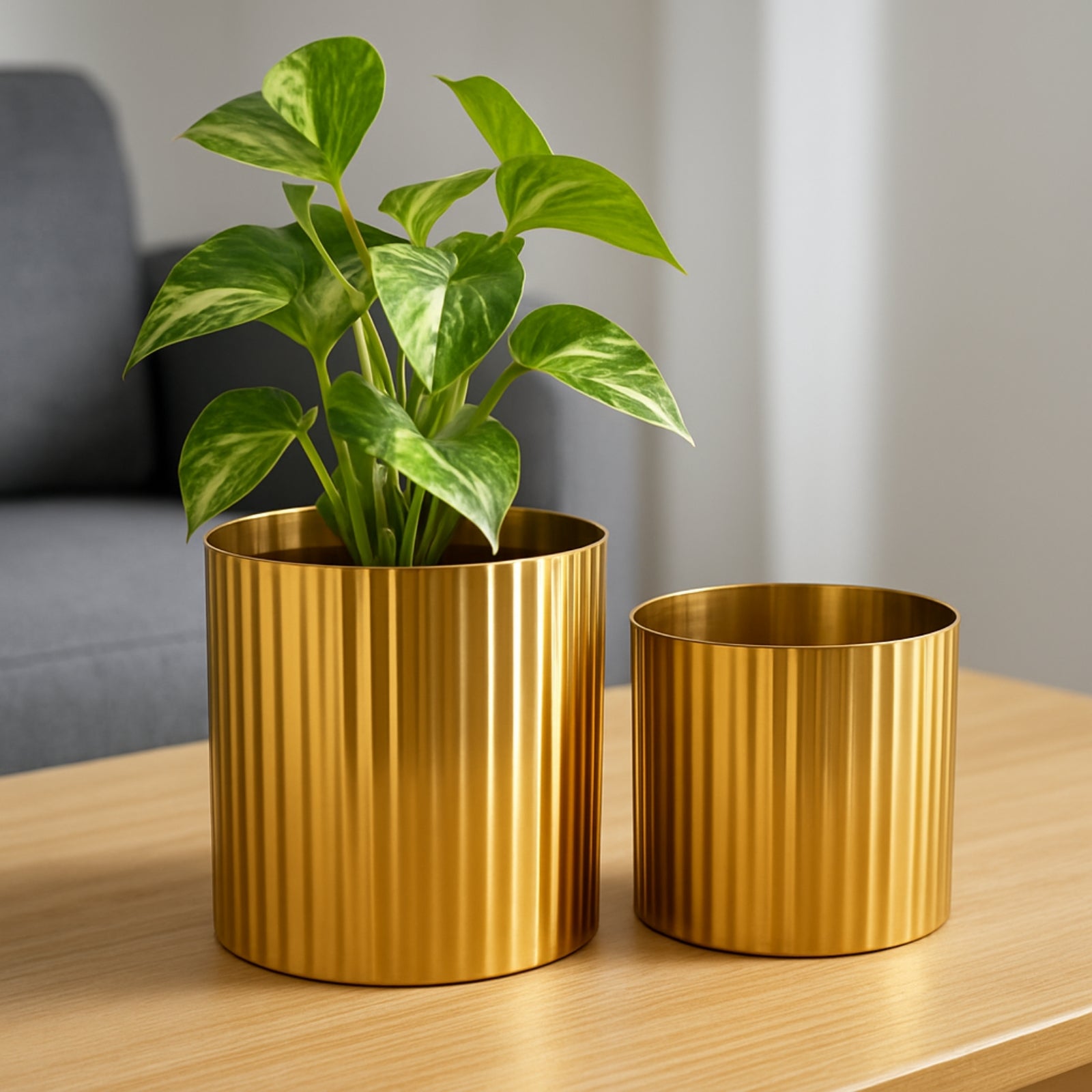 2 Pack Metal Plant Pots – Ecofynd
