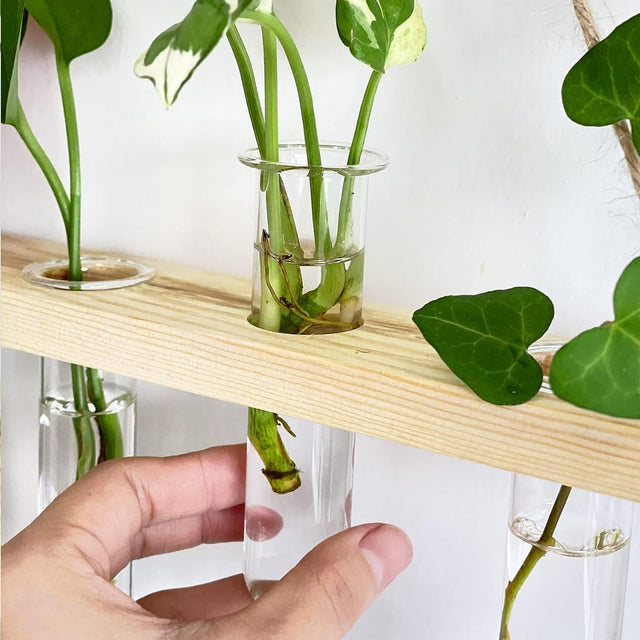 2-Tier Wall Hanging Test Tube Planter – Ecofynd