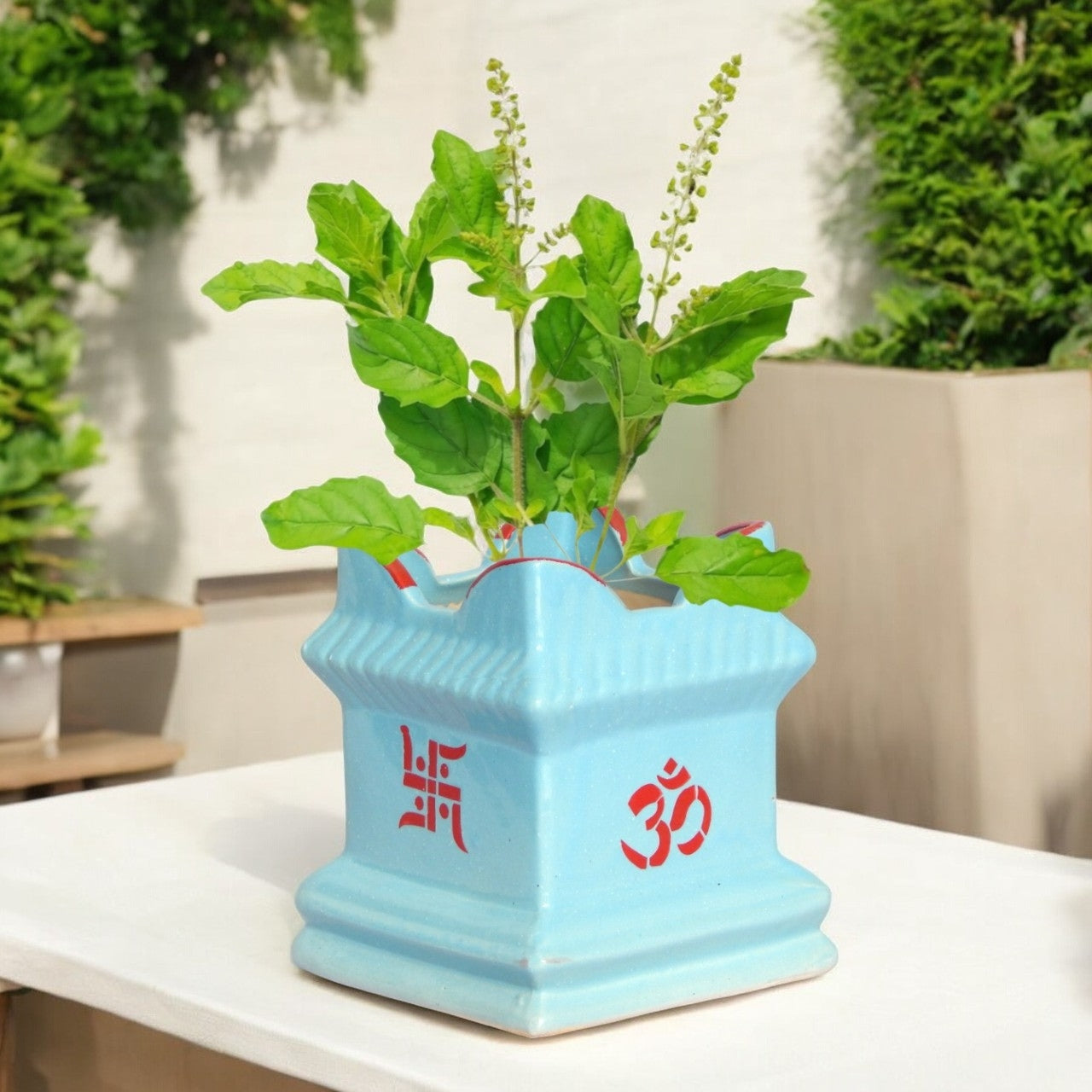 Ceramic Tulsi Plant Pot – Ecofynd