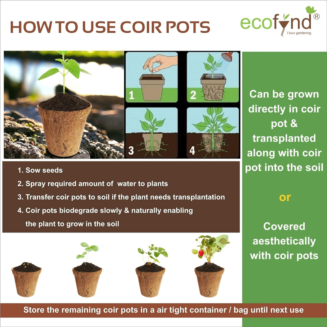 Sustainable 4-Inch Coir Pot – Biodegradable Planter for Greener Garden ...