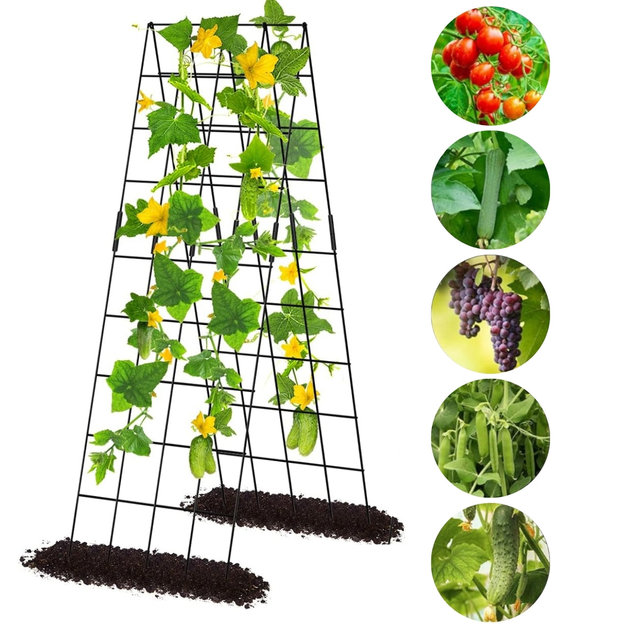 Foldable A-Frame Garden Trellis – Ecofynd